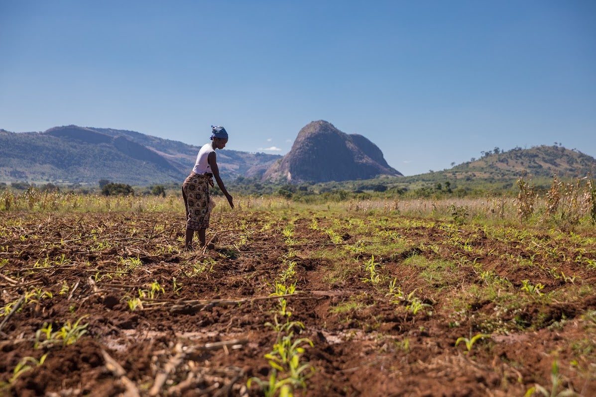 Untapped Opportunities for Climate Action: The Multiple Benefits of ...