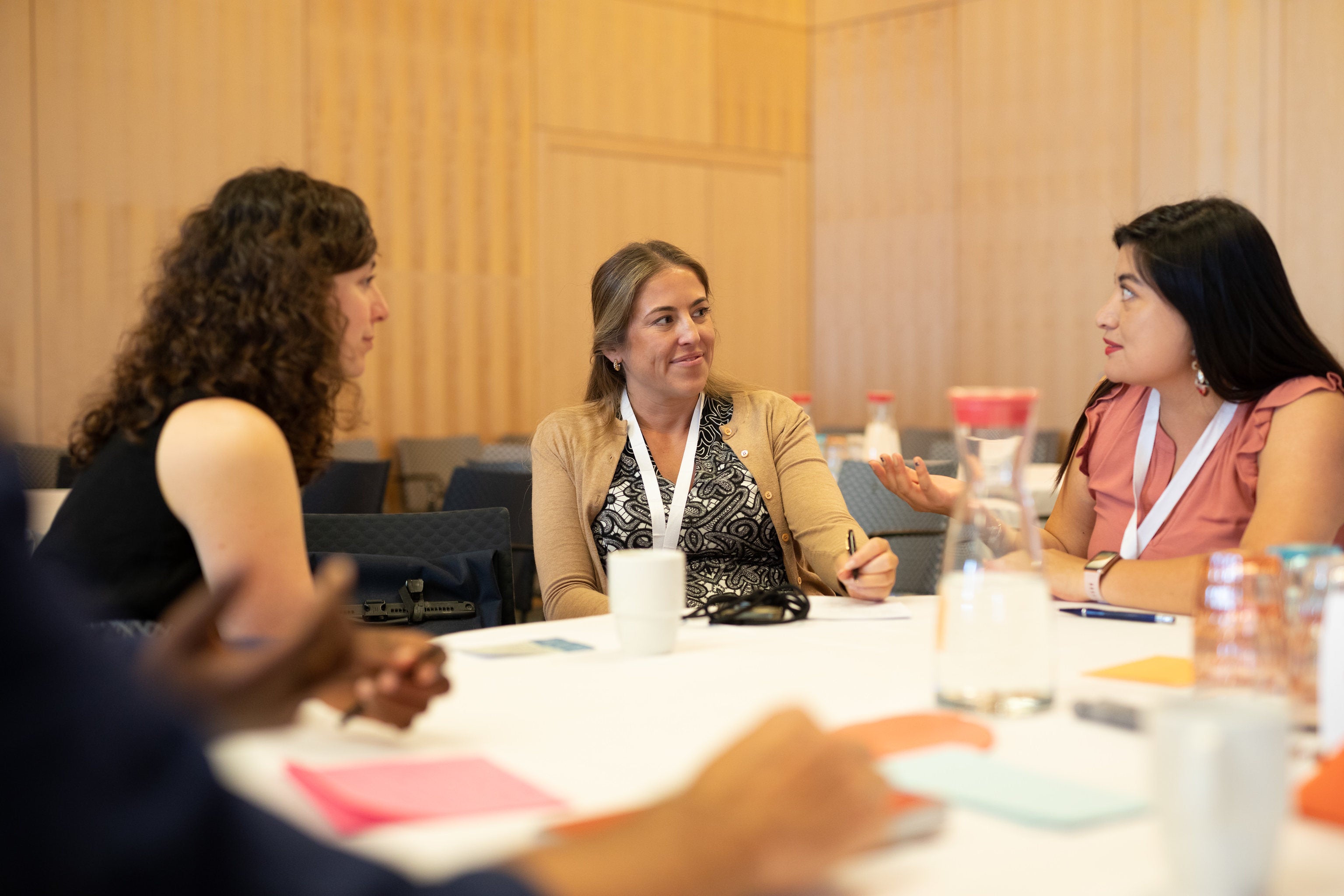 Gender Equality and Women’s Inclusion in Stakeholder Engagement | NDC ...