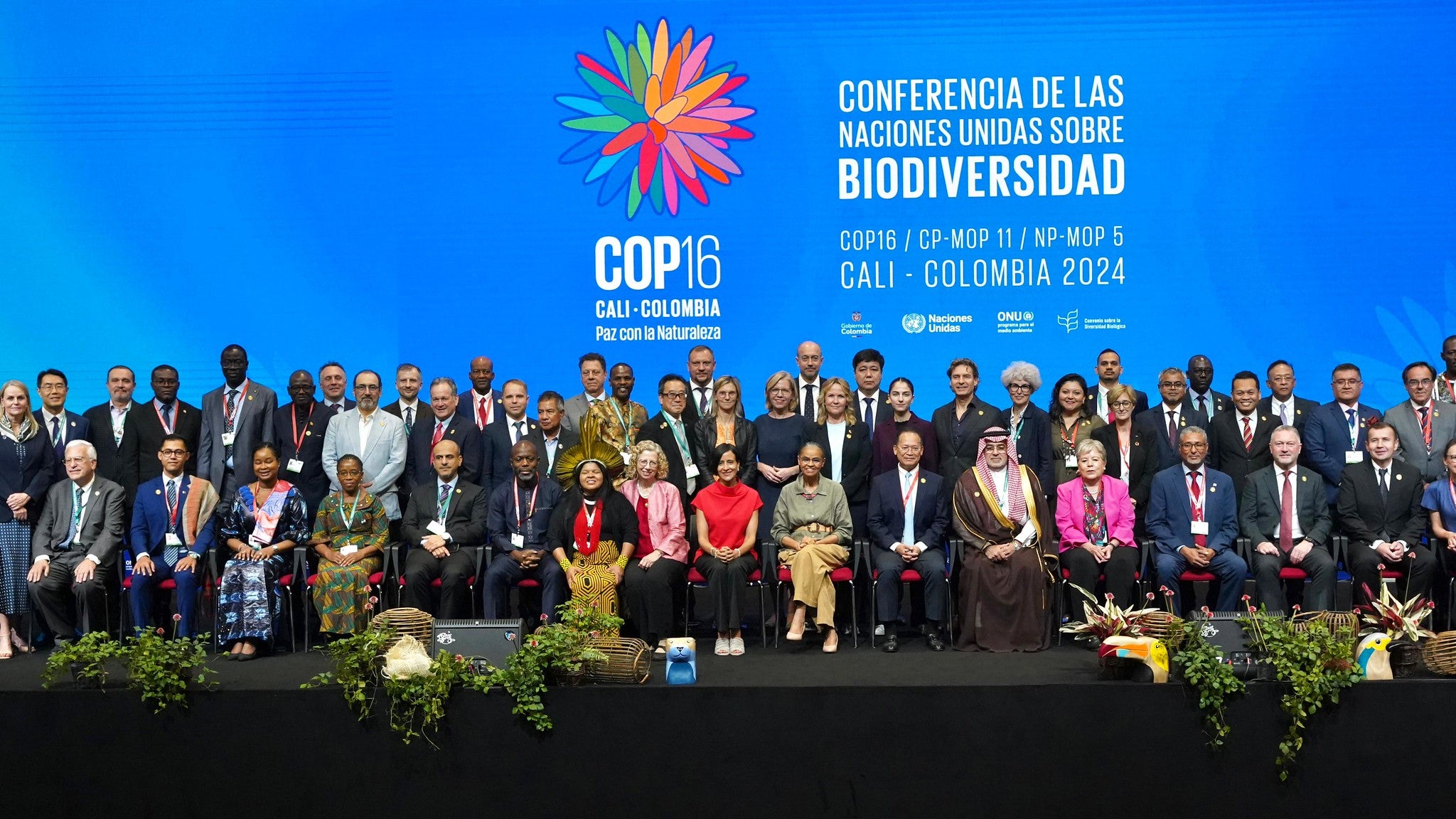 NDC Partnership Deepens Climate-Biodiversity Linkages at CBD COP16 ...