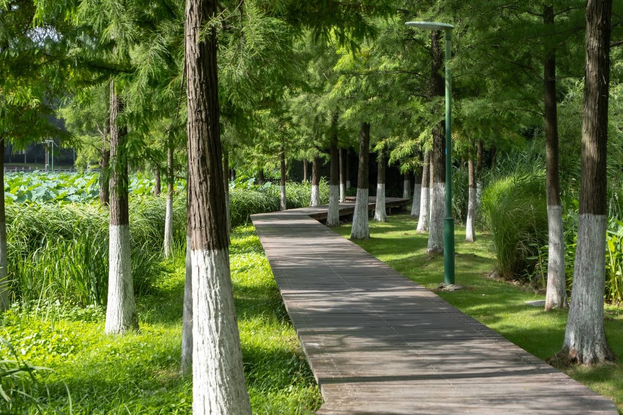 Wellcome Trust Awards GBP 1 Million to Strengthen Public Health Through Climate Action in ...